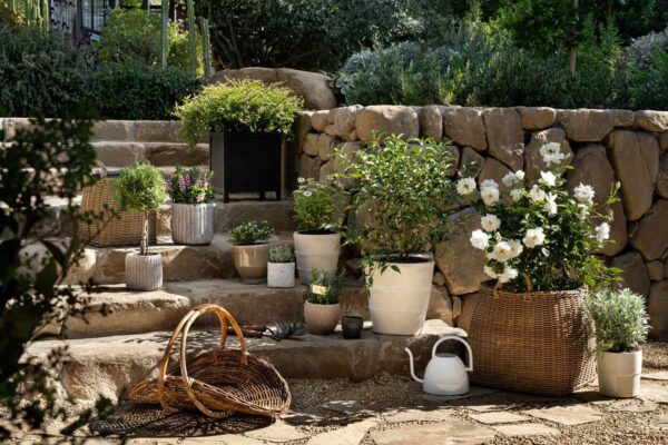 20 Rustic Outdoor Design Ideas for 2025
