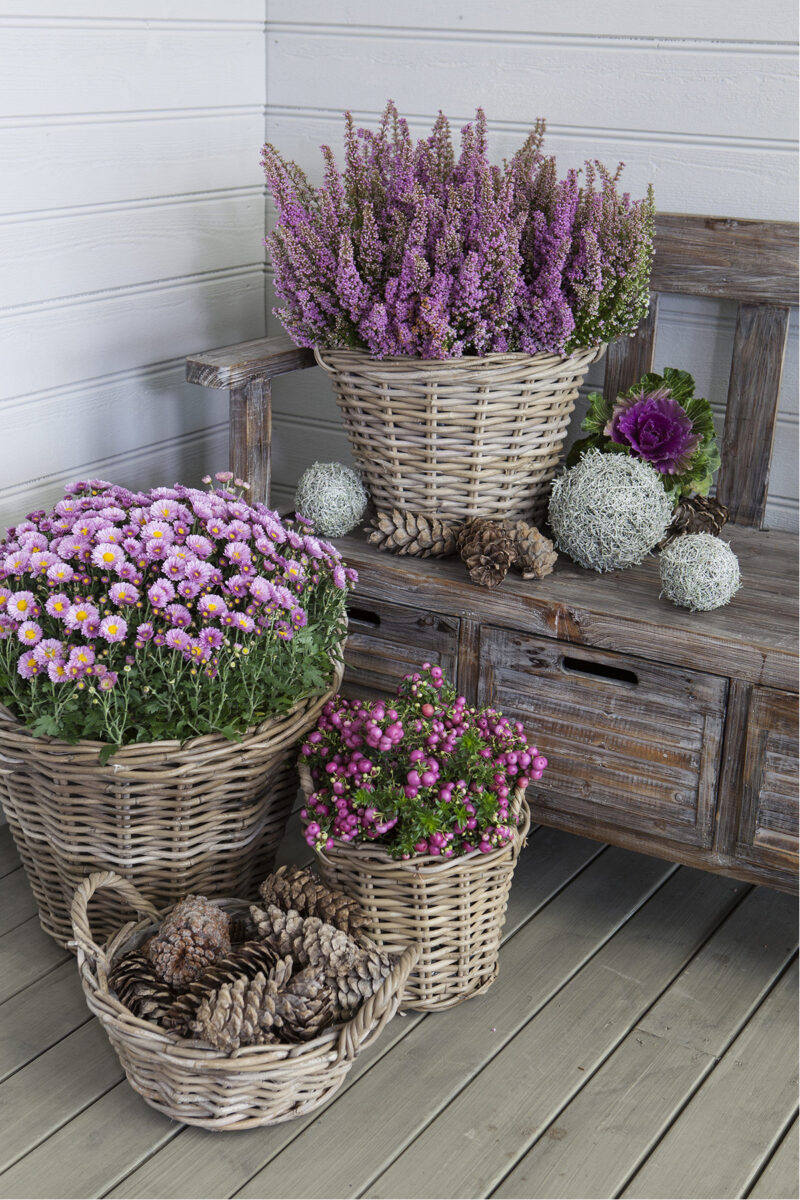 35 Rustic Backyard Ideas | Design Tips with Stunning Images