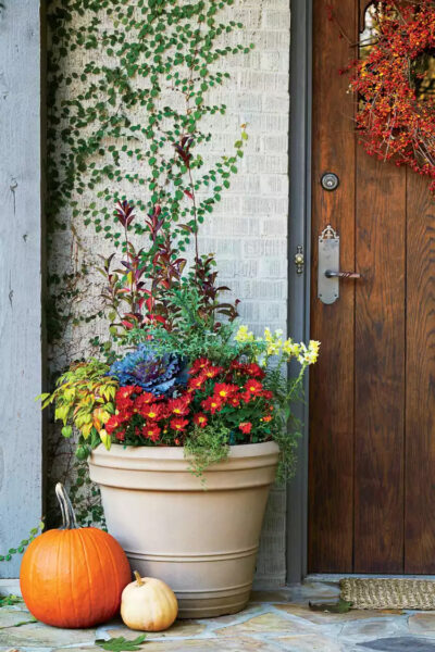 14 Fall Container Gardening Ideas to Transition from Summer