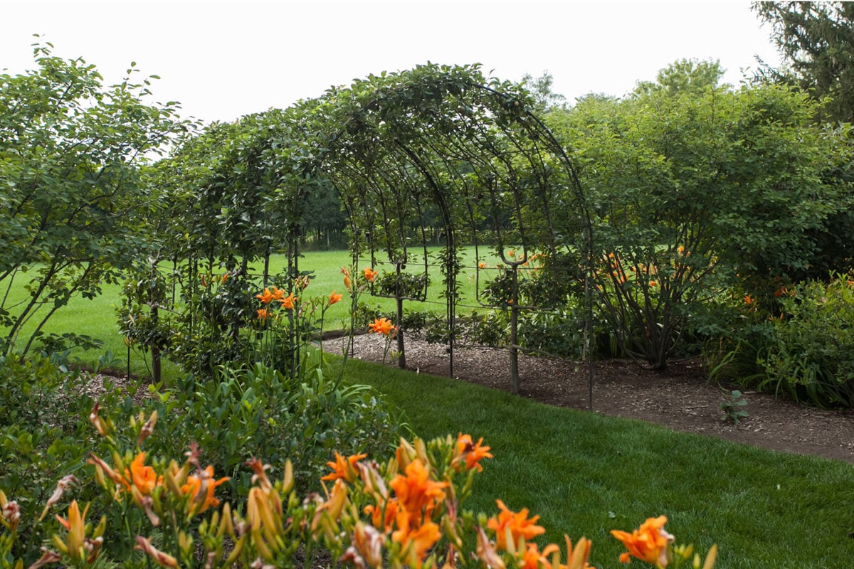 37 Backyard Landscaping Ideas for a Beautiful Yard