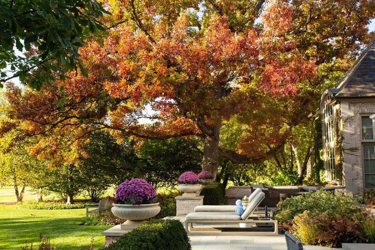 37 Backyard Landscaping Ideas for a Beautiful Yard