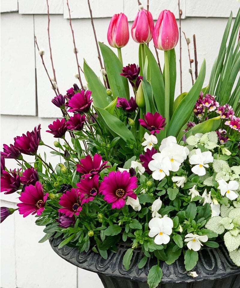 27 Easy Spring Container Garden Ideas 27 Easy Spring Container Garden Ideas