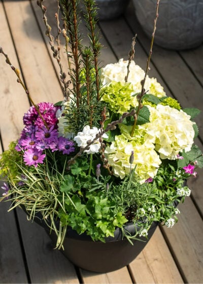 27 Easy Spring Container Garden Ideas