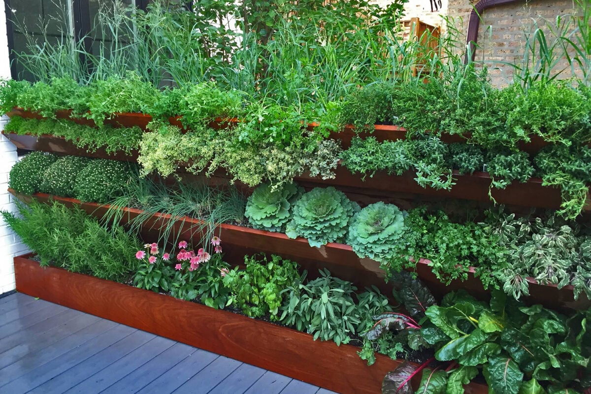 27 Raised Garden Bed Ideas to Transform Your Outdoor Space