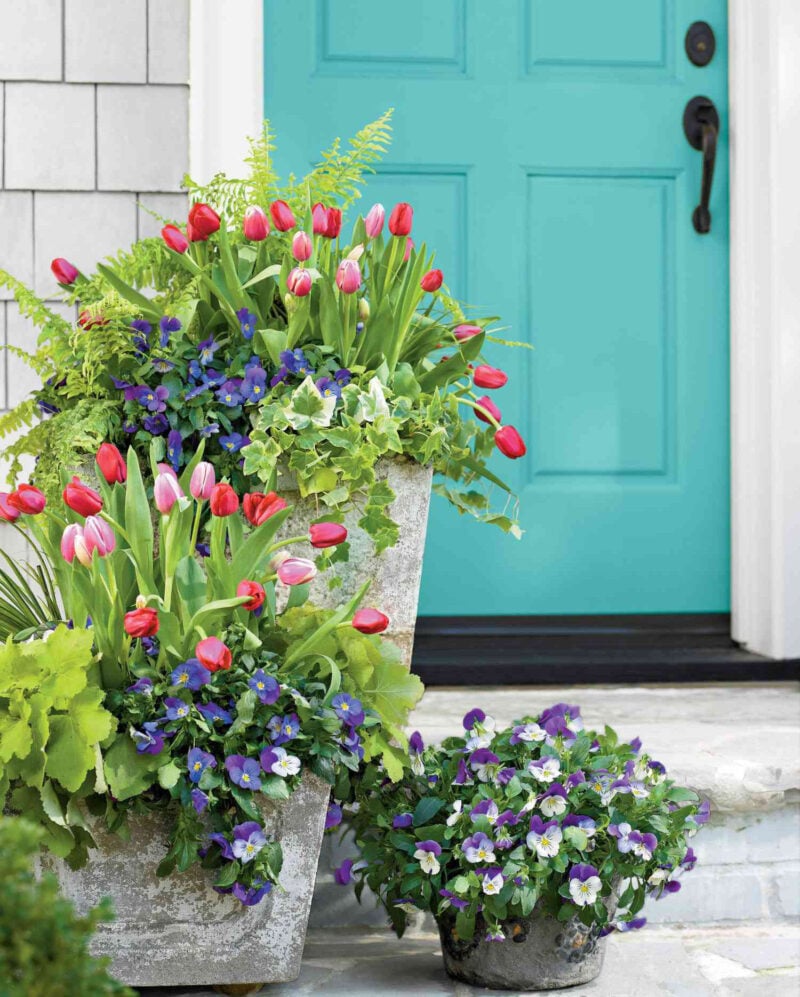 27 Easy Spring Container Garden Ideas