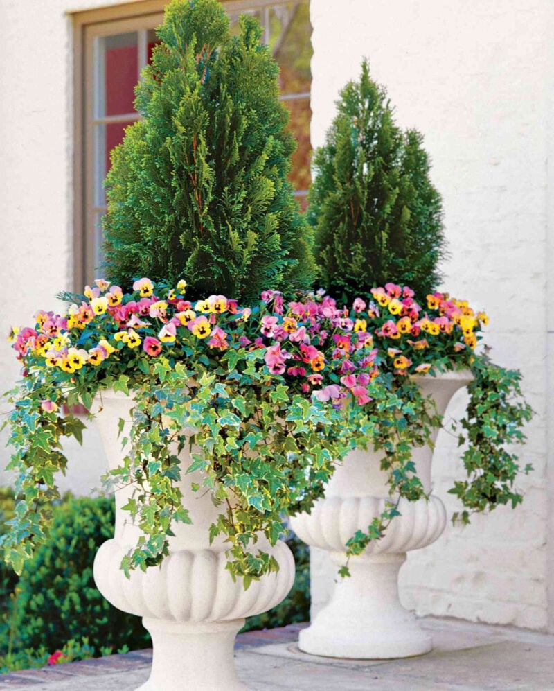 27 Easy Spring Container Garden Ideas