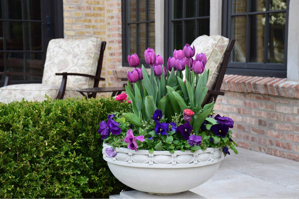 27 Easy Spring Container Garden Ideas