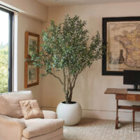 18 Decorating with Tree Branches Ideas