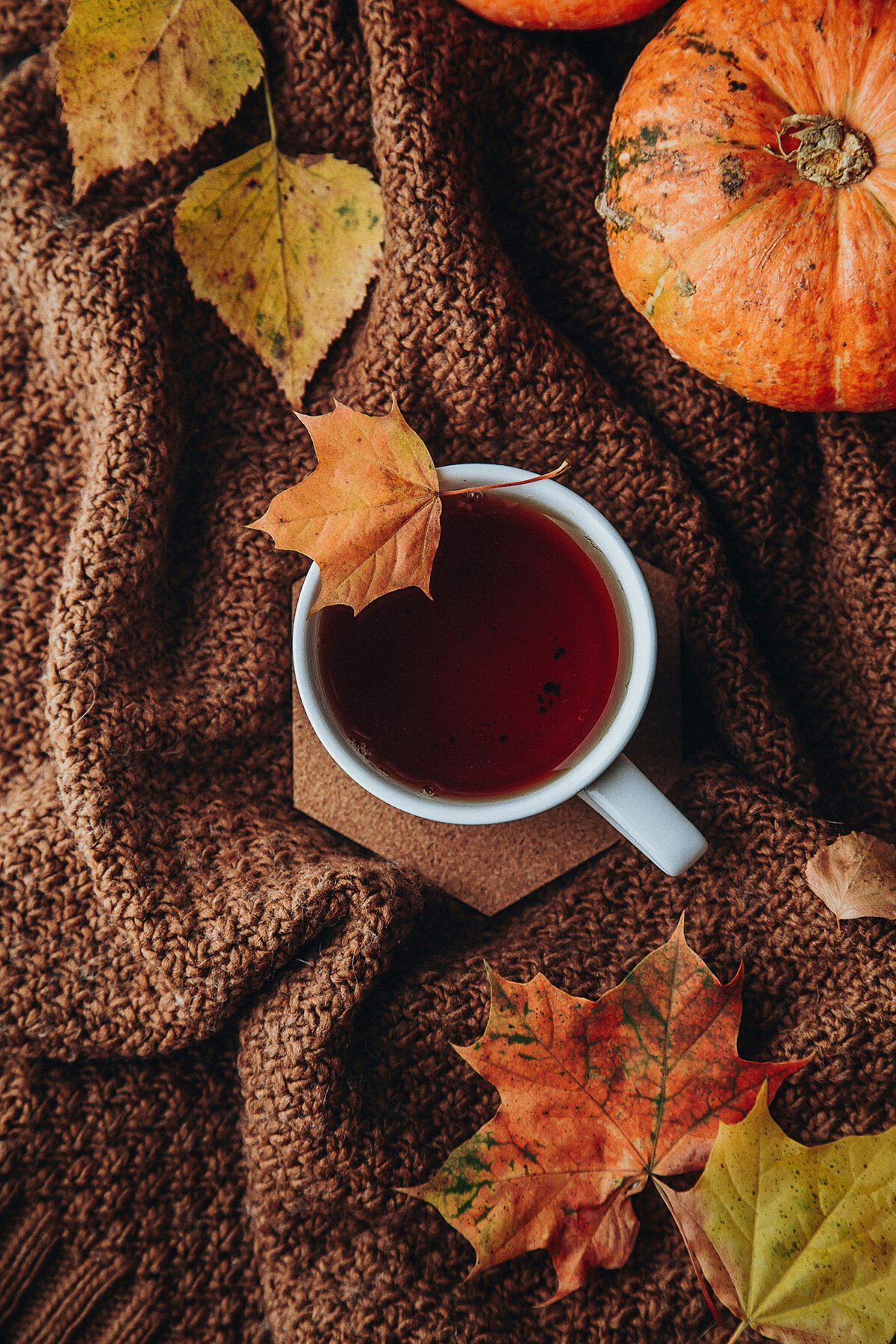 29 Fall Aesthetic Ideas for Cozy Autumn Vibes